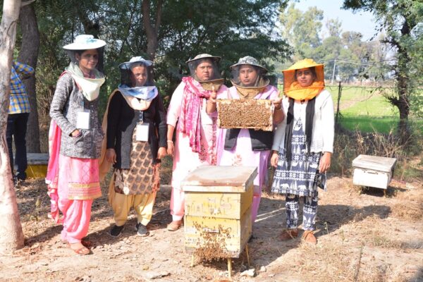 Training and Courses - Beekeeping India